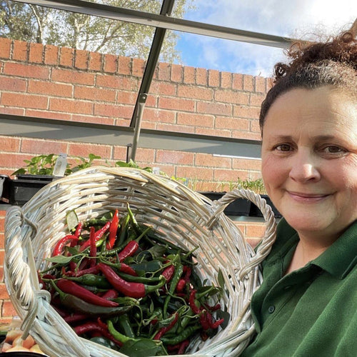 Lisa Allison's Allotment Life – Natural Grower