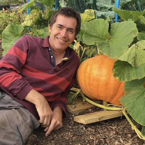 Steve Newland - Two allotments and a garden! – Natural Grower